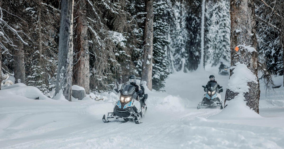 From Jackson: Yellowstone Grand Canyon Snowmobile Tour | GetYourGuide