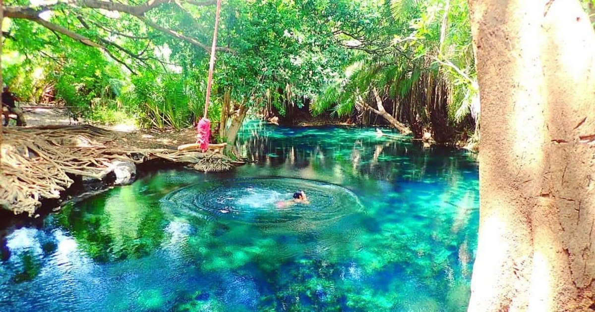 Materuni Waterfalls, Coffee & Hot Springs Day Tour | GetYourGuide