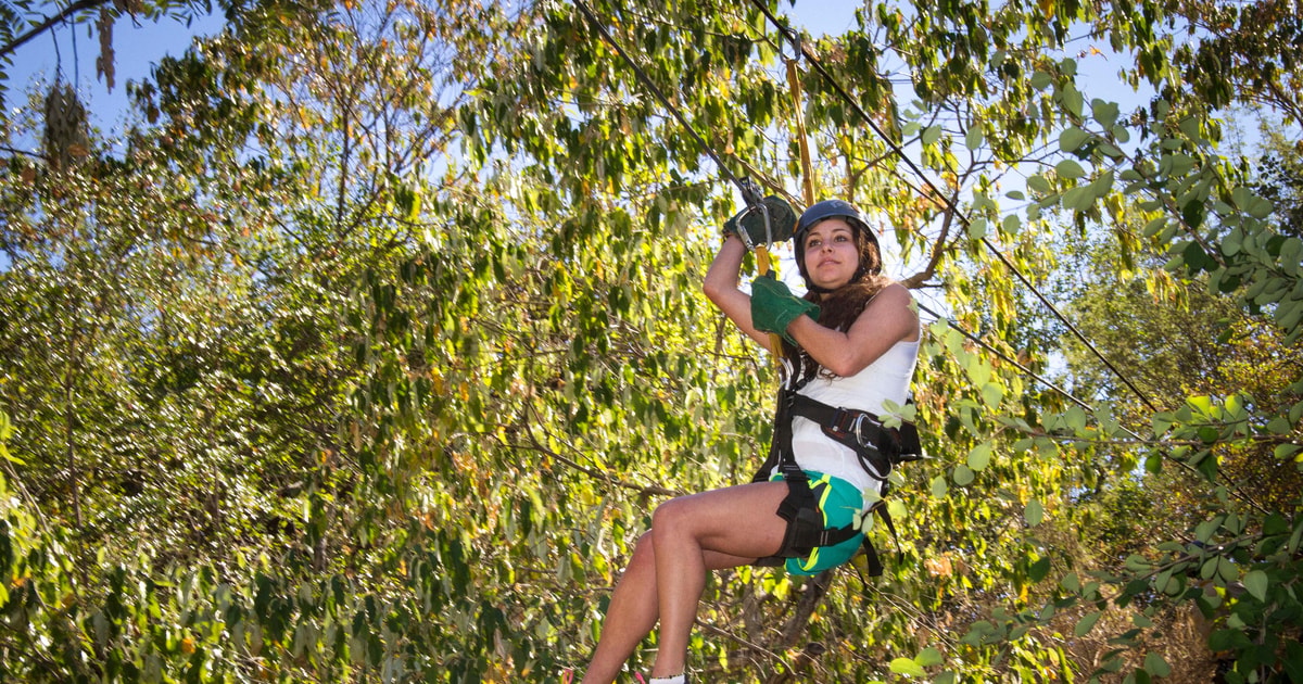 Victoria Falls: Canopy Tour | GetYourGuide