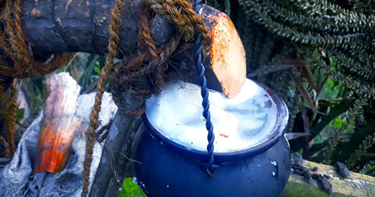 From Ella : Toddy (Kithul Raa) Experience in Ella's Village | GetYourGuide