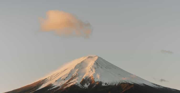 Five star tour | GetYourGuide