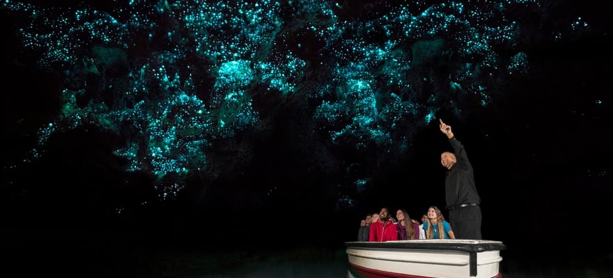 The BEST Waitomo Glowworm Caves Cruises & boat tours 2024 - FREE ...