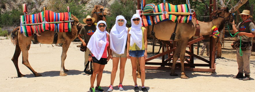 Wild Canyon Adventures, Cabo San Lucas - Book Tickets & Tours ...