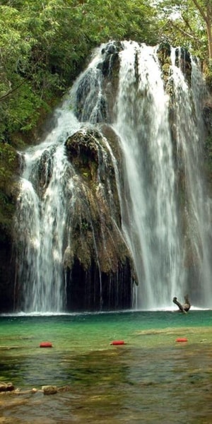 Xilitla: God's Bridge and Tambaca Waterfall Tour | GetYourGuide