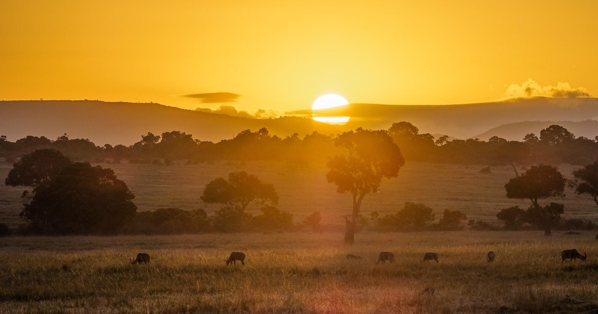 3 DAYS 2 NIGHTS PRIVATE SAFARI TO MAASAI MARA | GetYourGuide