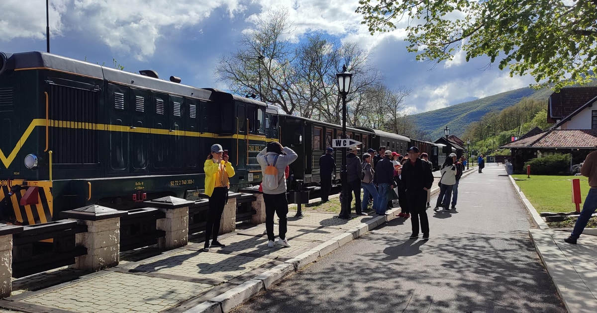 Von Zlatibor/Užice: Mokra Gora & Tara-Nationalpark | GetYourGuide