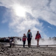 Rotorua: Hell's Gate Geothermal Walk | GetYourGuide
