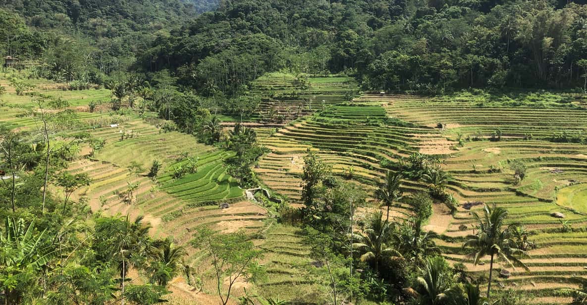 Yogyakarta: Borobudur and Selogriyo Rice Terrace Day Tour | GetYourGuide