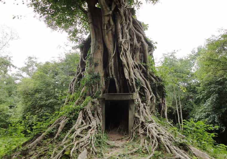 Sambor Prei Kuk-tempel, Chenla Kingdom-dagtour | GetYourGuide