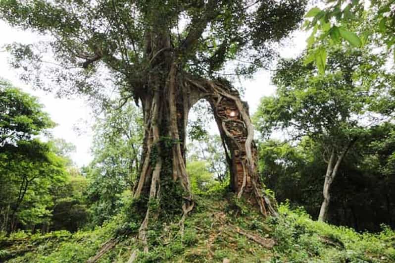 Sambor Prei Kuk-tempel, Chenla Kingdom-dagtour | GetYourGuide