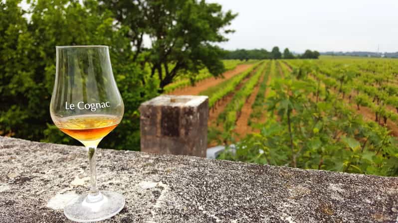 Private Tour: The Cognac; a Luxury and Terroir Product | GetYourGuide