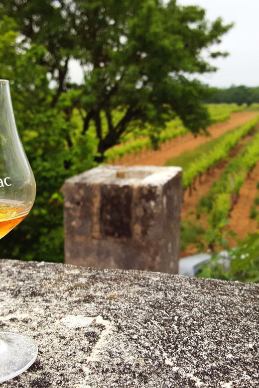 Private Tour to Cognac from Saintes, Angouleme (from Paris) | GetYourGuide