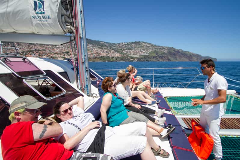 Funchal: Dolphin and Whale Watching by Luxury Catamaran | GetYourGuide