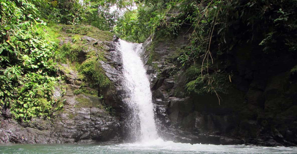 Uvita Waterfall & Surfing Discover Costa Rica - Private Tour | GetYourGuide