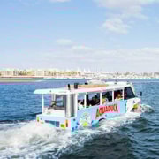 Gold Coast: Aquaduck City Tour and River Cruise | GetYourGuide