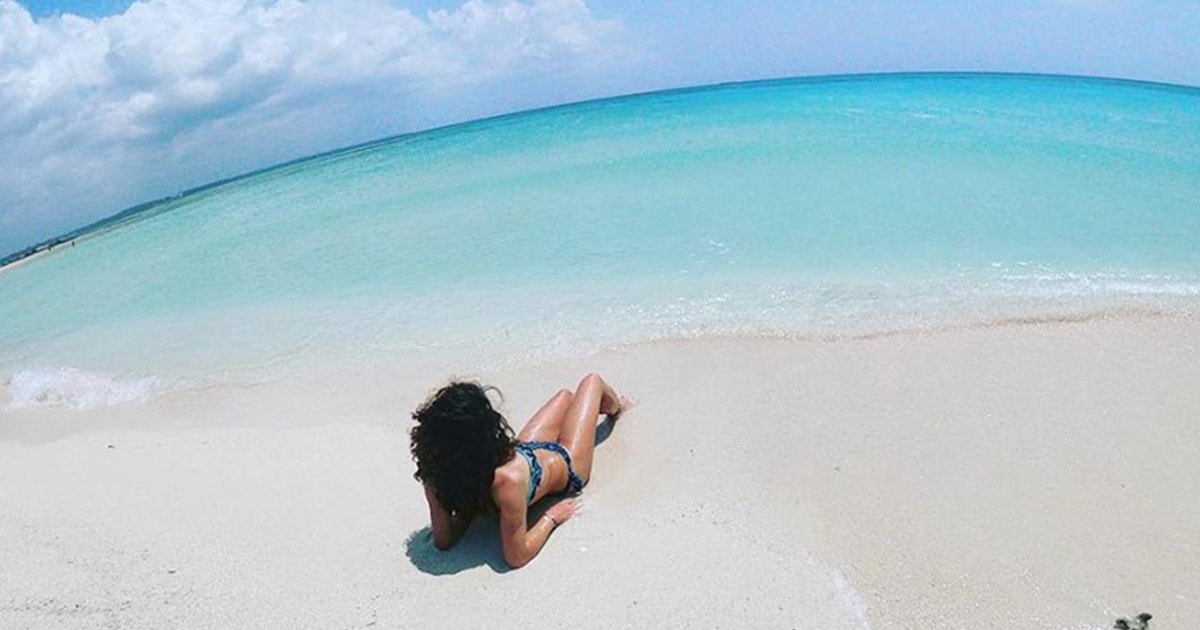 Heldags Safari Blue, Kwale Island og piknik på sandbanker | GetYourGuide