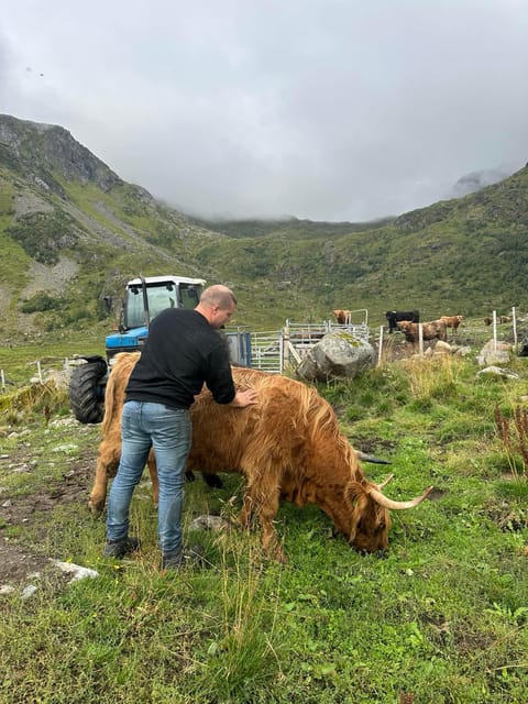 Herbst auf dem Bauernhof | GetYourGuide