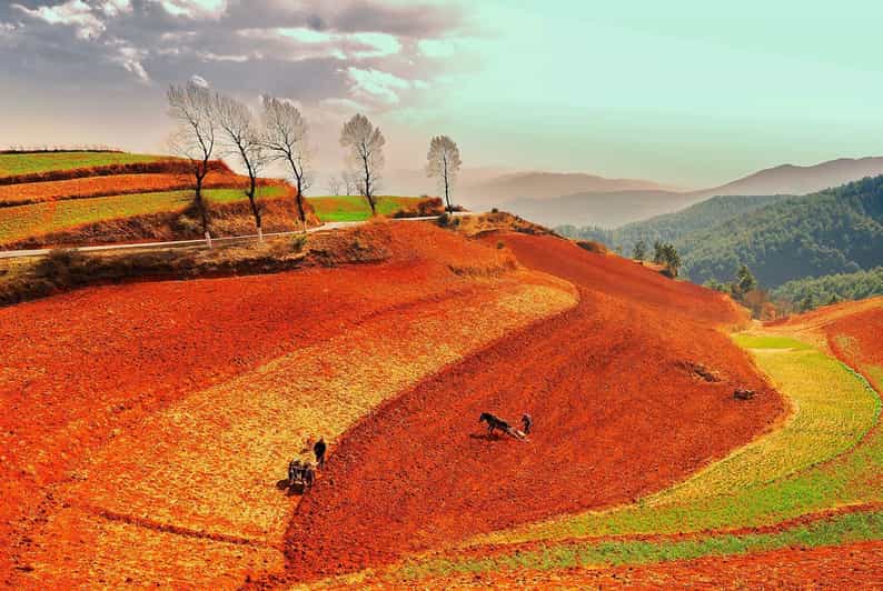 Kunming: 2-Day Dongchuan Red Land Photography Private Tour | GetYourGuide