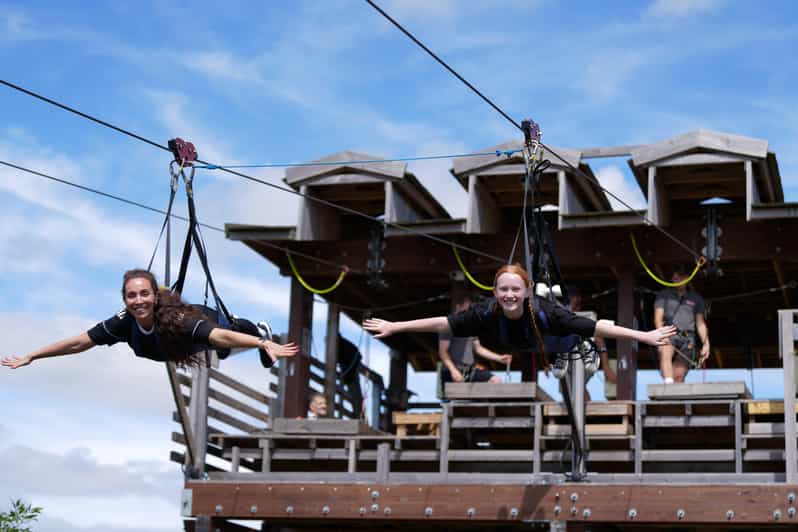 Cornwall: Eden Project Zip Wire Experience | GetYourGuide