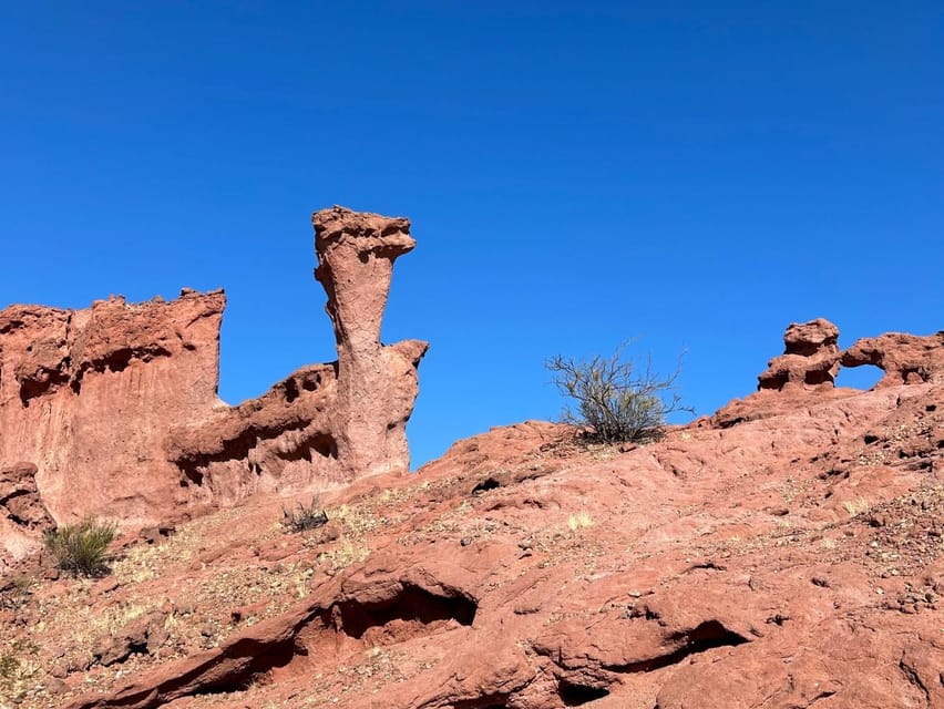 TOUR YATE: Cafayate'de kamp ve doğa yürüyüşü | GetYourGuide