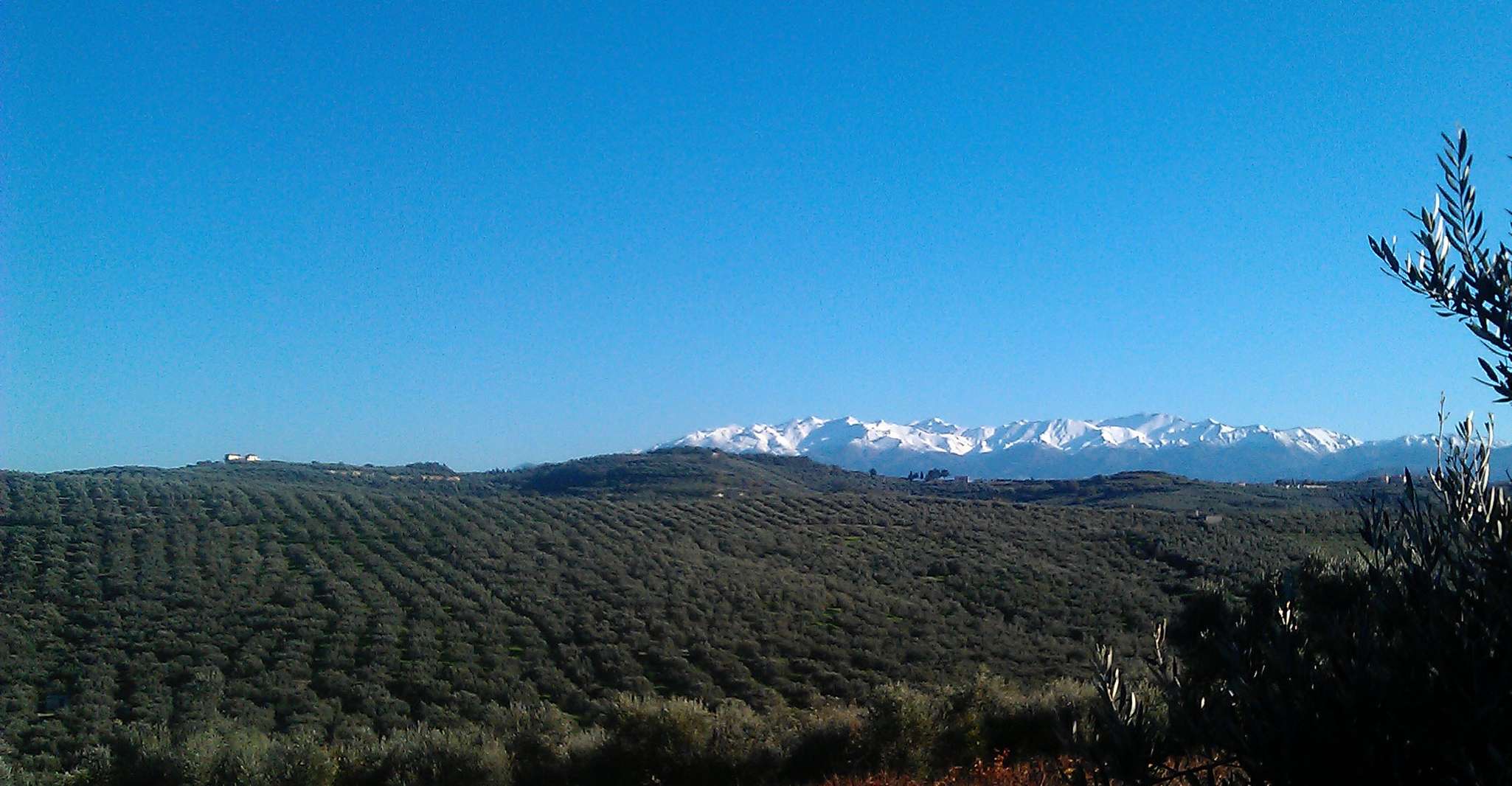 The Terra Creta Olive Oil Experience Tour | Guided Tour in Crete