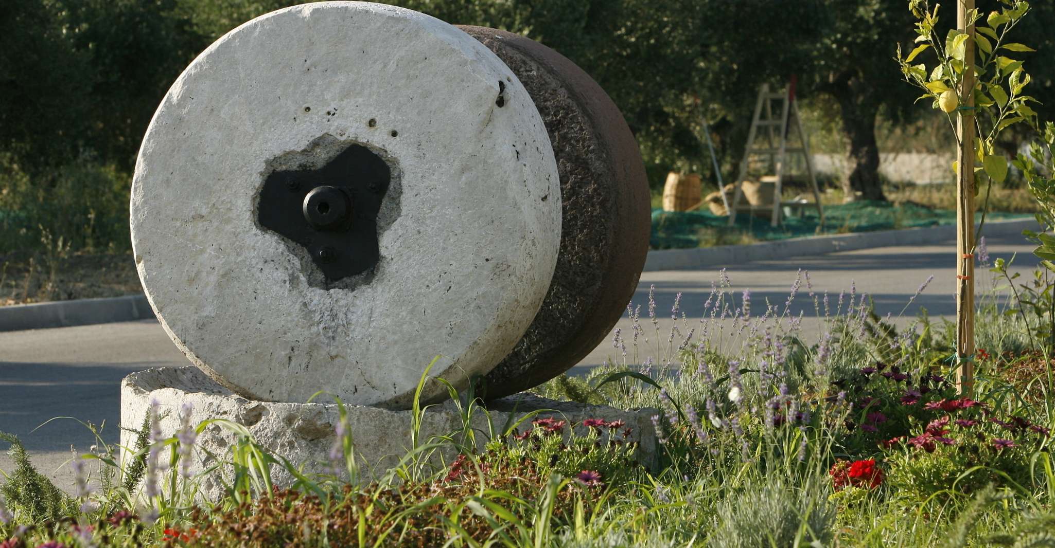 The Terra Creta Olive Oil Experience Tour | Guided Tour in Crete