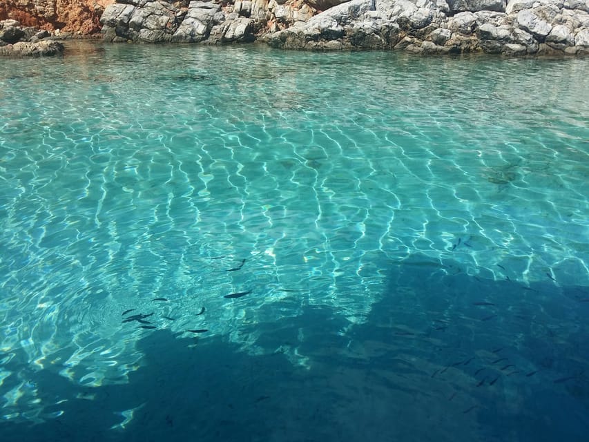 Full-Day Orak Island Boat Trip from Bodrum | GetYourGuide