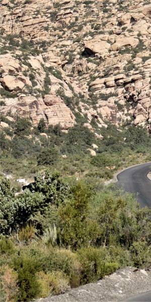 From Las Vegas: Red Rock Canyon Electric Bike Hire | GetYourGuide