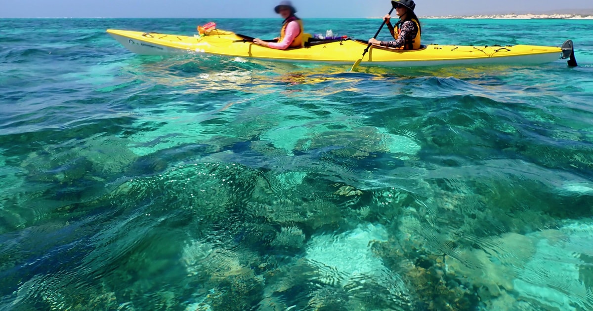 Exmouth Tour de medio día en kayak por el Coral | GetYourGuide