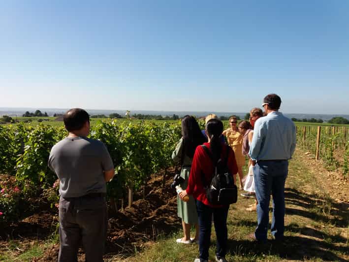 Saint-Emilion wine tour tasting half-day from Bordeaux | GetYourGuide