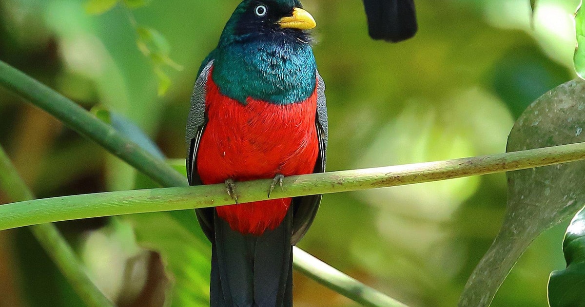 Yanacocha 1 Day Tour | GetYourGuide