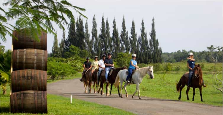Scenic Horseback Riding Experience | GetYourGuide