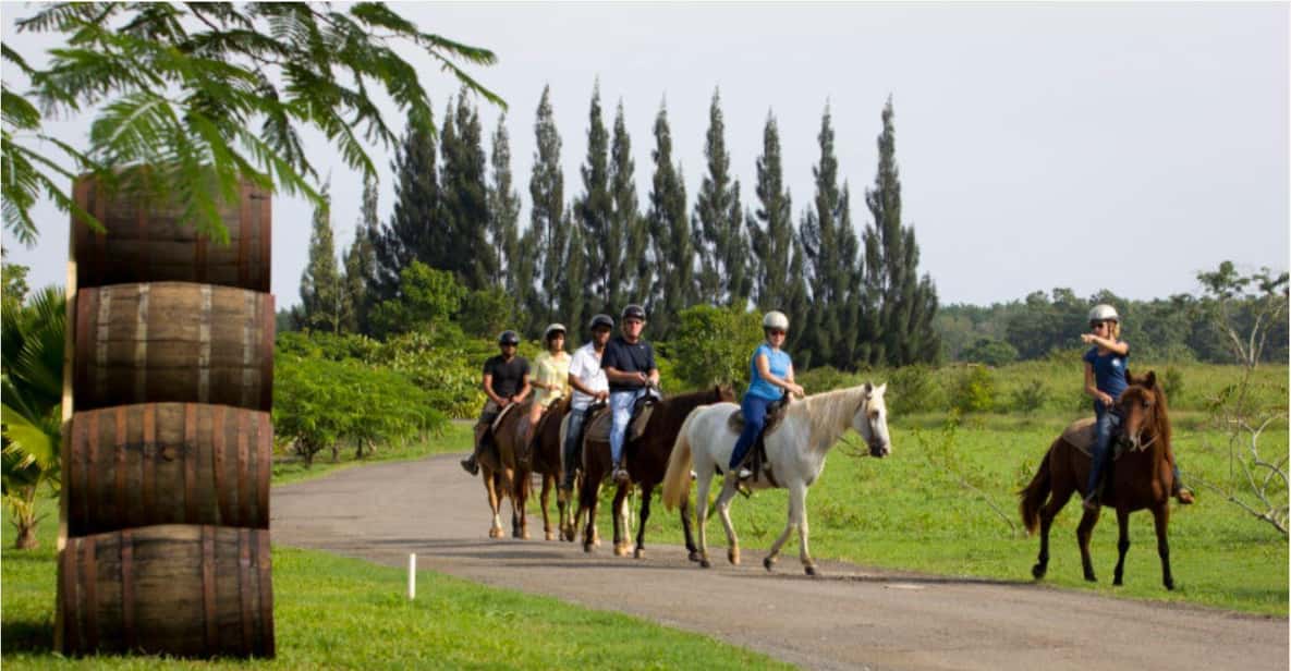 Scenic Horseback Riding Experience | GetYourGuide