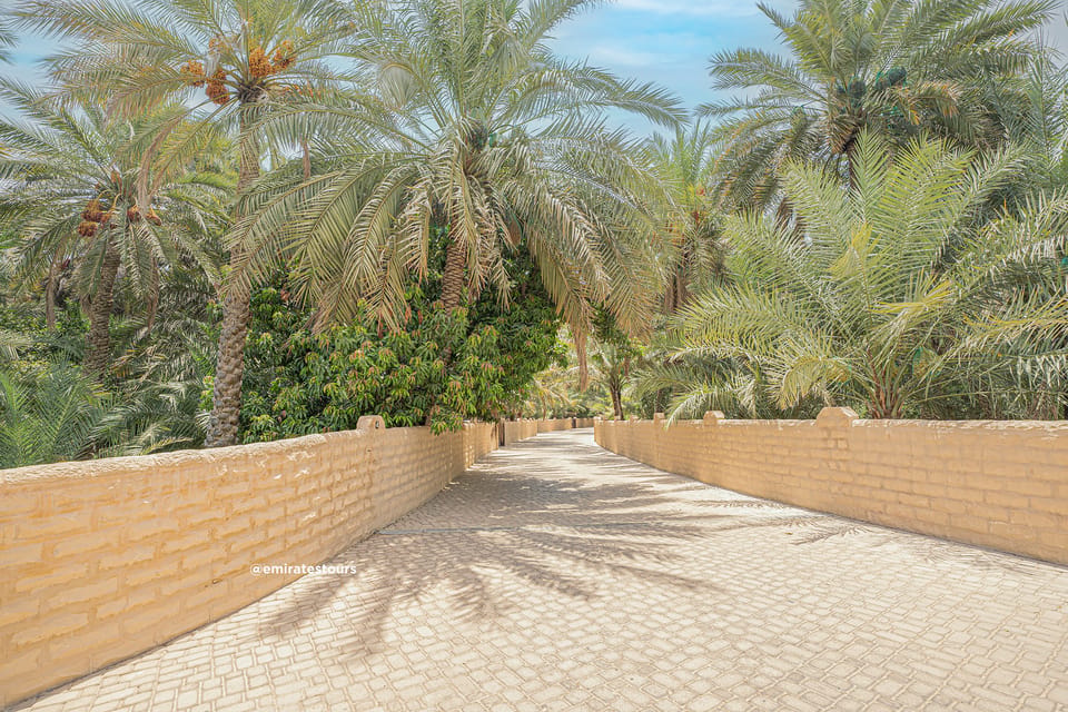 Abu Dhabi: Full-Day Al Ain Tour with Entry Tickets and Meal | GetYourGuide