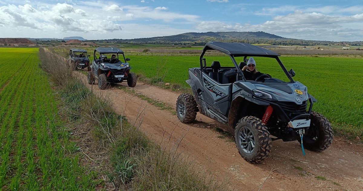 Mallorca: Berg Buggy Avontuur met Geheime Baaien Tour | GetYourGuide