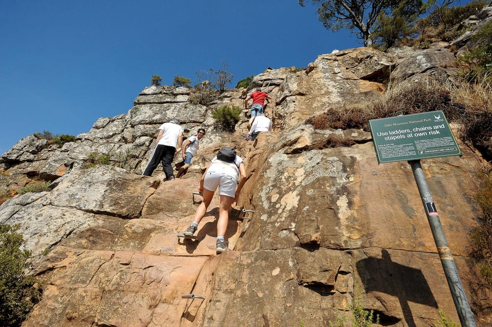 Lions Head Hike & Picnic | GetYourGuide