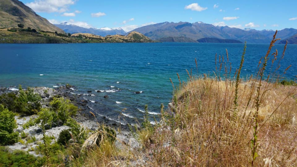 From Wanaka: Ruby Island 1-Hour Cruise and Photo Walk | GetYourGuide
