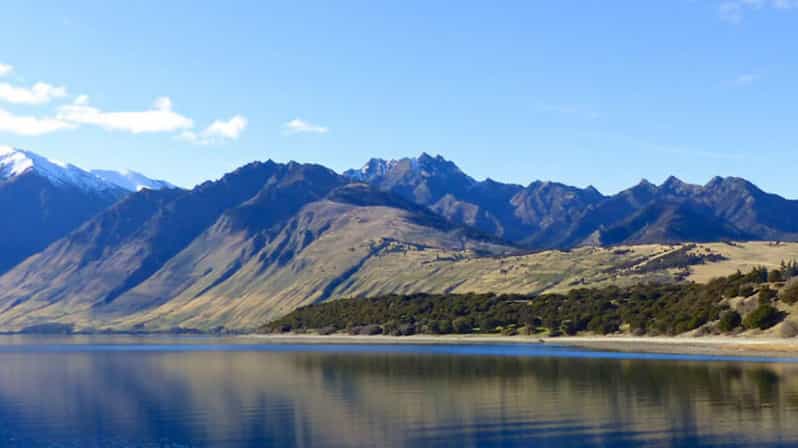 Stevensons Island 2-Hour Cruise and Nature Walk | GetYourGuide