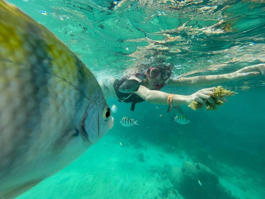 VIP 3 Cenotes Private Tour | GetYourGuide