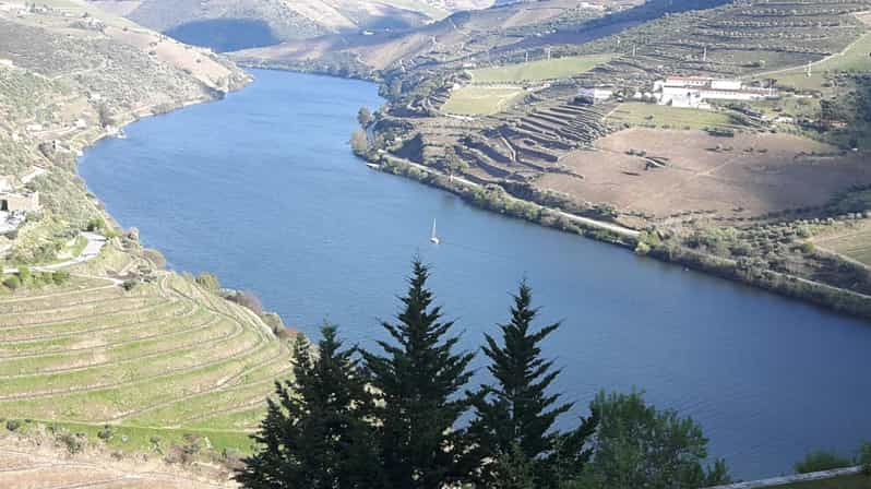 Ganztägige private Tour (Porto Stadt + Douro Tal) | GetYourGuide