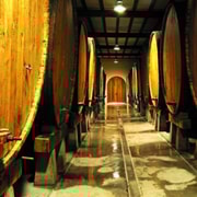 Cider House Experience From San Sebastián | GetYourGuide