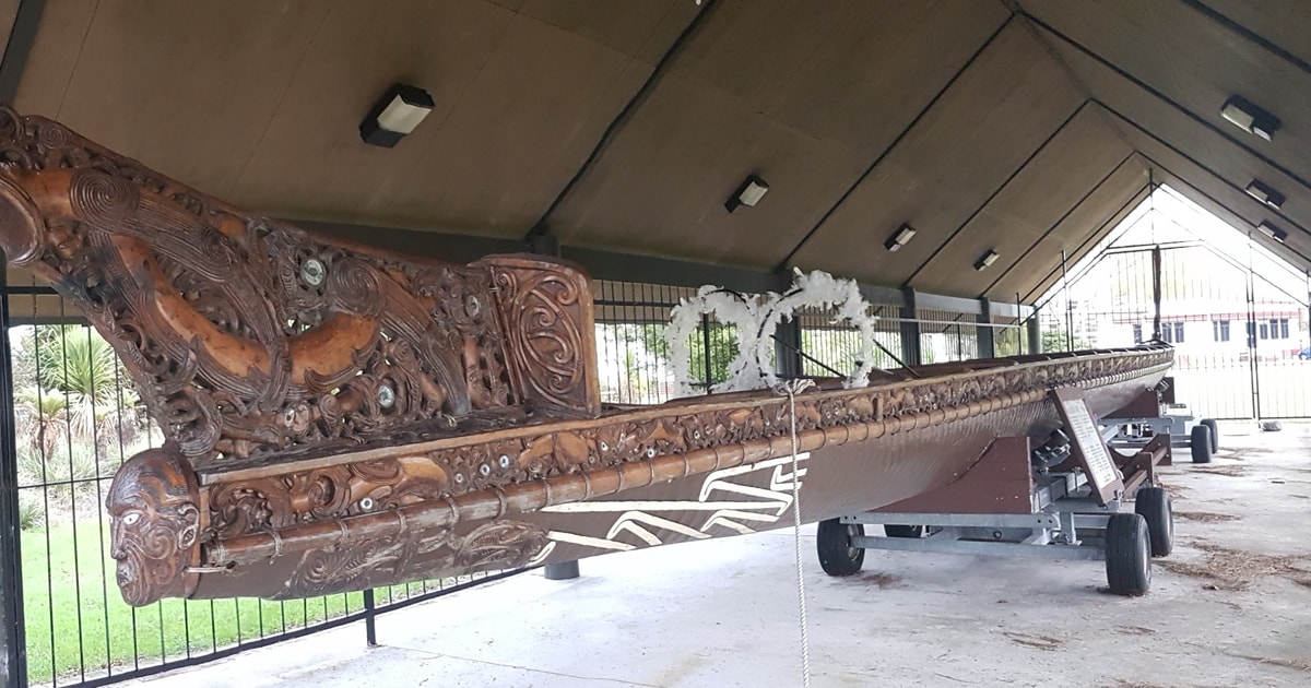 Maori Culture Small Group Afternoon Tour including Te Puia | GetYourGuide