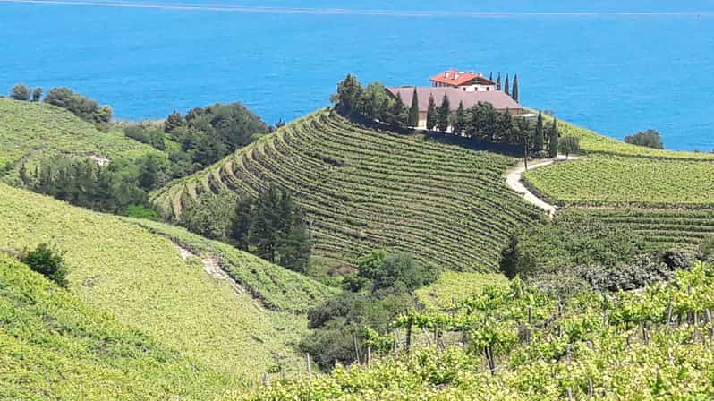 Private Tour of the Basque Coast and Countryside | GetYourGuide