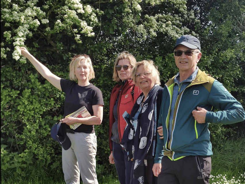 Burren Botany Experience | GetYourGuide