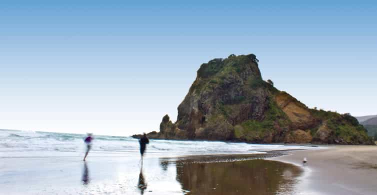 The BEST Waitakere Ranges Tours and Things to Do in 2024 - FREE ...