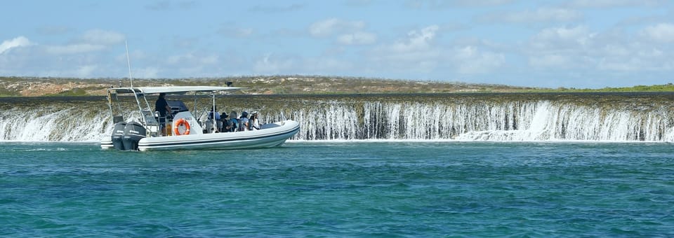 Cygnet Bay Unique Tidal Waterfall Reefs Scenic Cruise | GetYourGuide