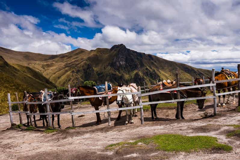 Quito Tour, Teleferico & Pichincha Volcano Horseback Ride | GetYourGuide