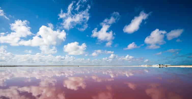 Desde Cancún: un día en el lago rosa de Las Coloradas | GetYourGuide