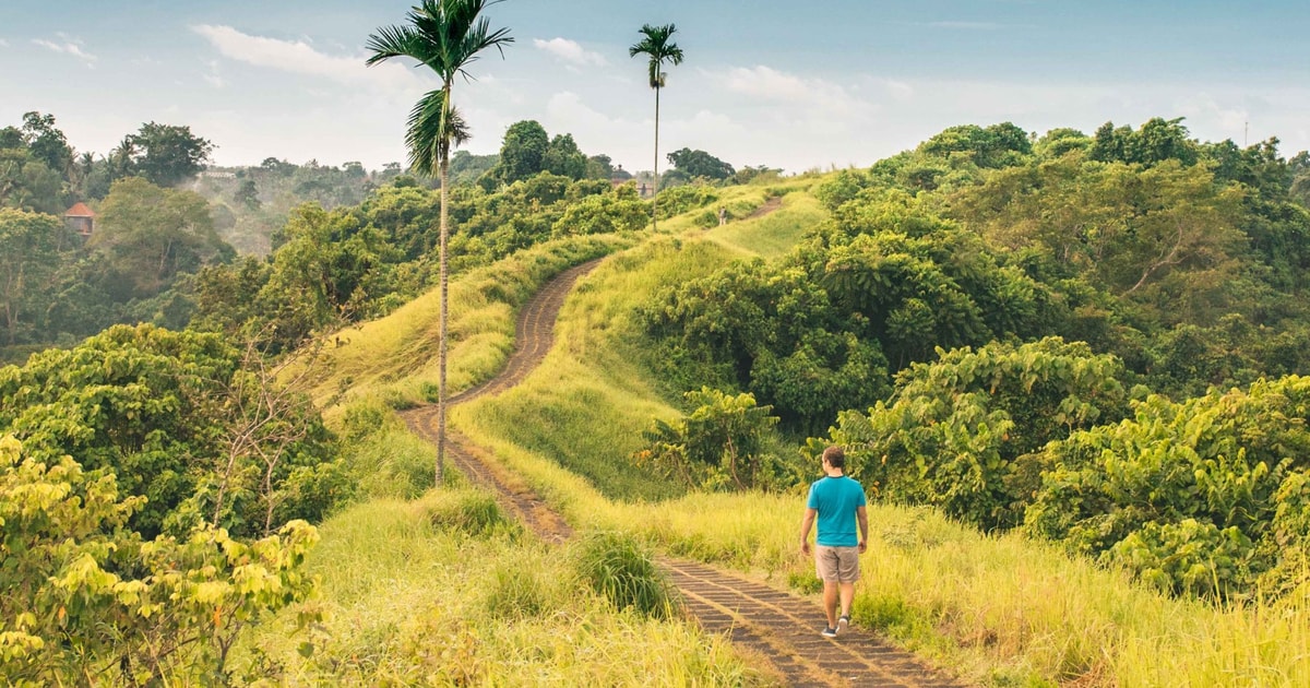 Ubud: Campuhan Ridge to Ubud Monkey Forest Walking Tour | GetYourGuide