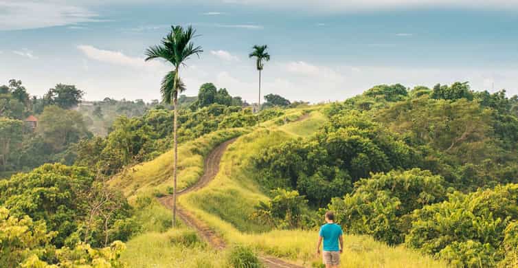 Campuhan Ridge Walk, Ubud - Book Tickets & Tours | GetYourGuide